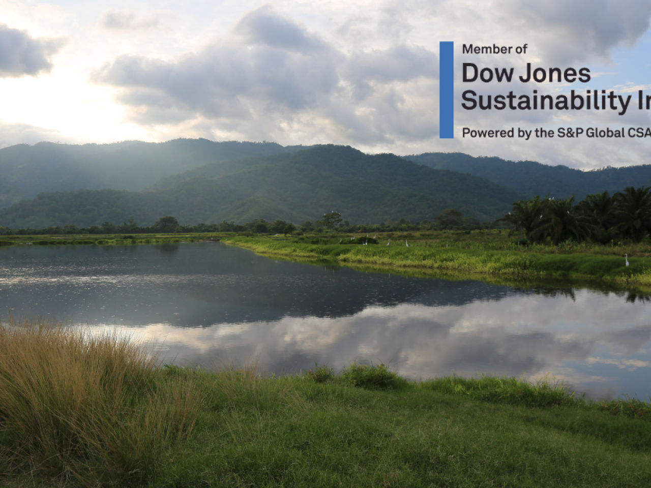 Awards, Ratings & Rankings | 3BL Media